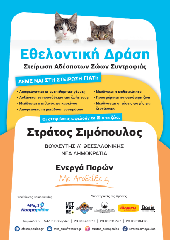 ΕΒΔΟΜΑΔΑ ΣΤΕΙΡΩΣΗΣ ΑΔΕΣΠΟΤΩΝ ΓΑΤΙΩΝ. (Δελτίο τύπου, στις 20-11-2023 ...